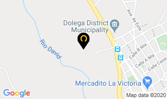 Tribunal Electoral - Te en Dolega - Teléfonos y Dirección